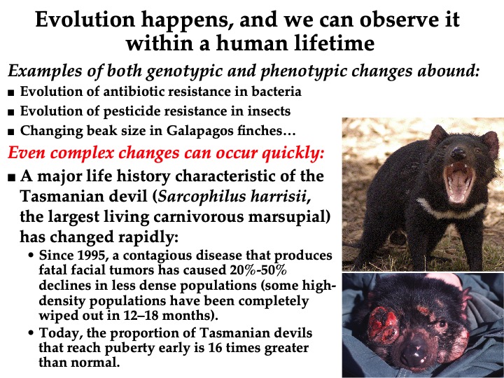 Evolution and Natural Selection